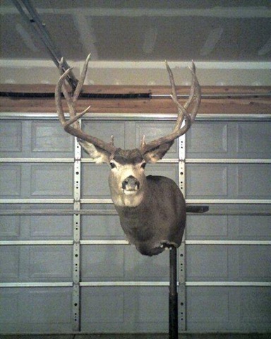 Outdoor Adventure Blog | Book Cliffs landowner deer tag available